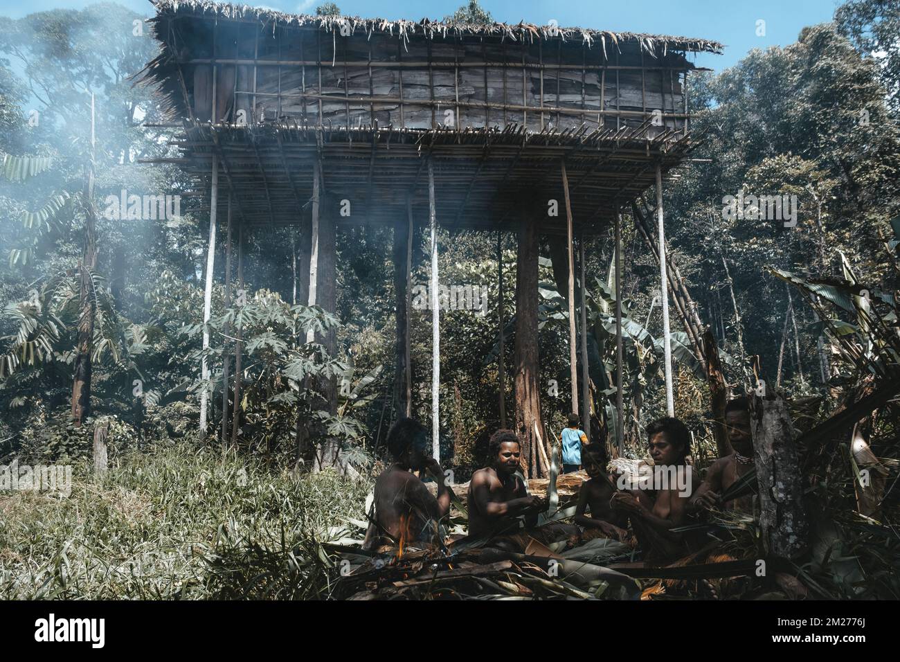 Korowai tribe sagou Banque de photographies et d’images à haute ...