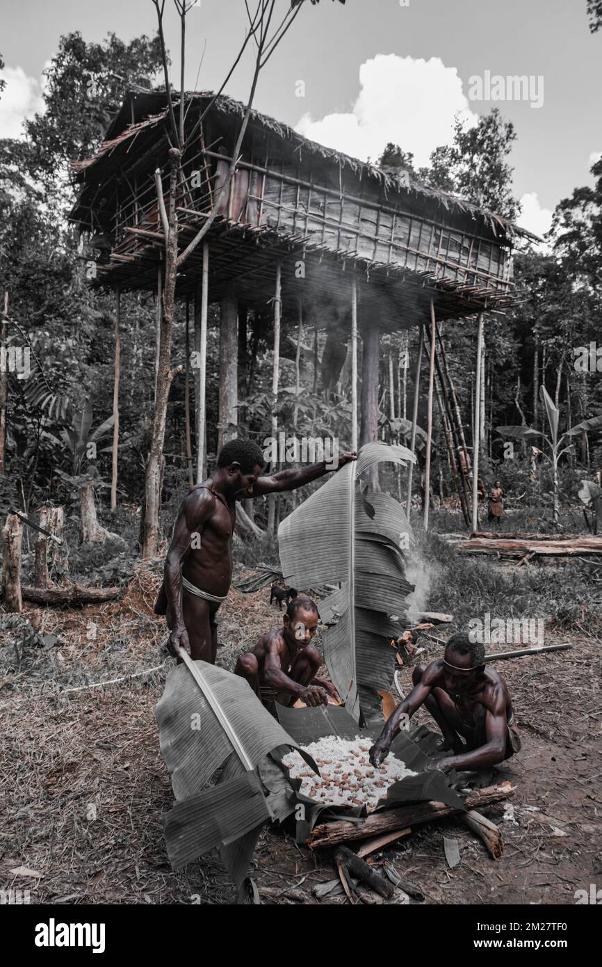 Korowai tribe sagou Banque de photographies et d’images à haute ...