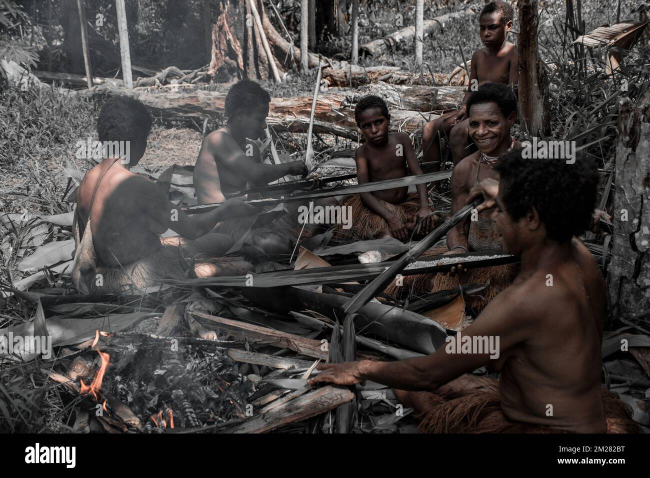 Korowai tribe sagou Banque de photographies et d’images à haute ...