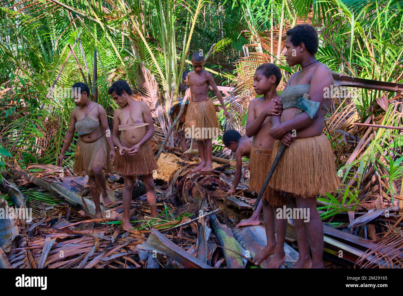 La tribu des Korowai, souvent appelée la tribu des Asmat d'arbres parce qu'ils vivent dans de ...