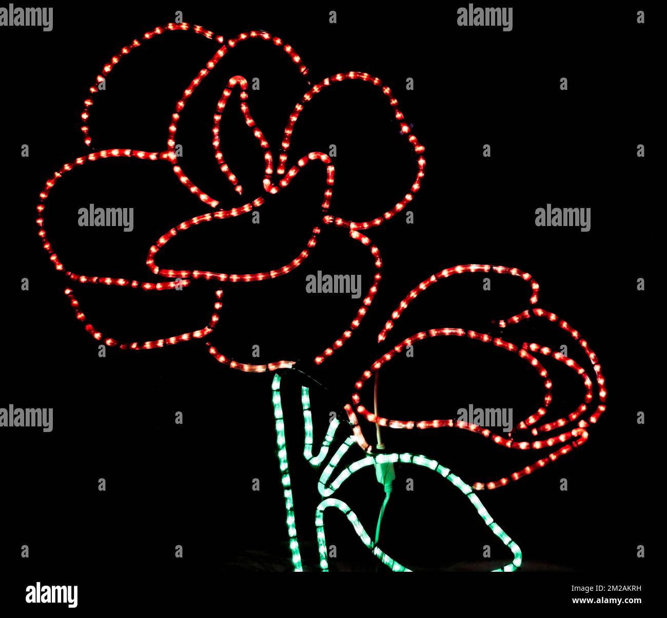 Calgary night Banque de photographies et d’images à haute résolution ...