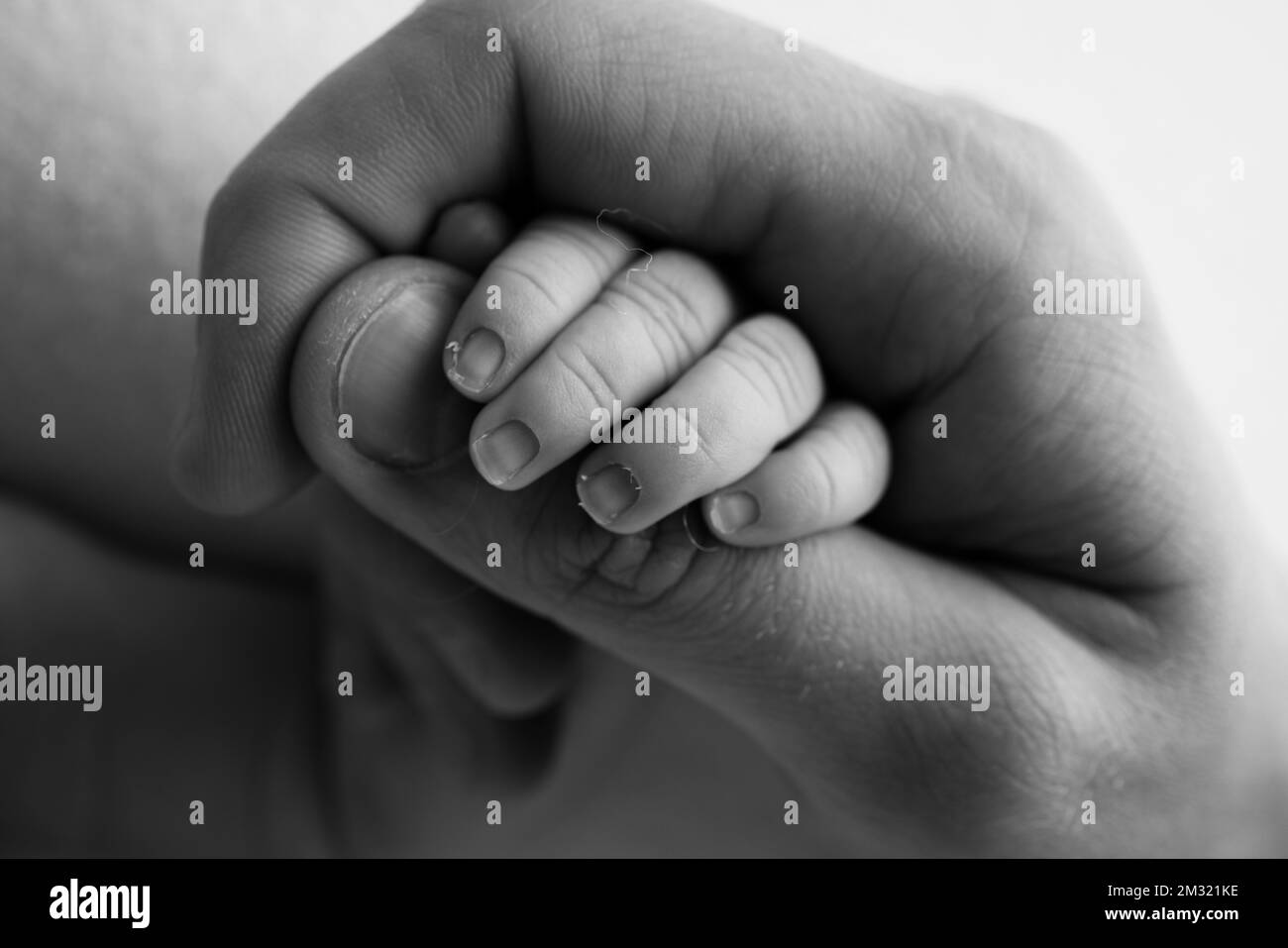 Un nouveau-né tient le doigt de sa mère, de son père. Les mains des ...