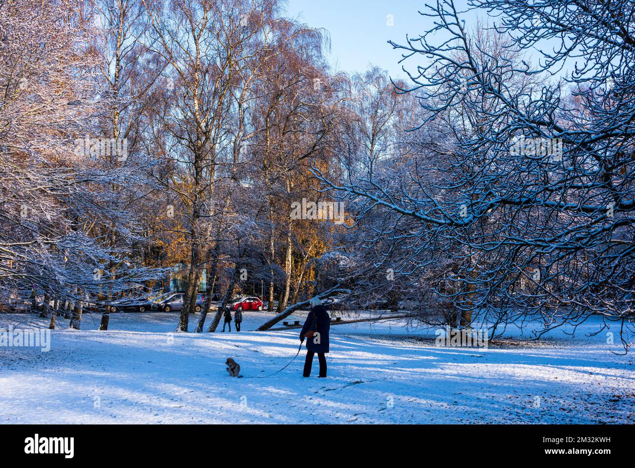 Kiel, 8. Dezember 2022, der erste Schnee diesen Jahres ist gefallen. Winterliche Impressionen in ...