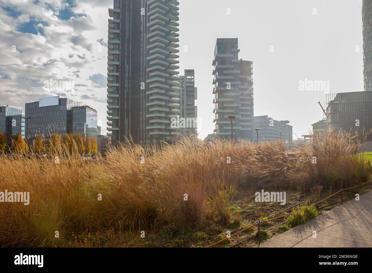 Parc de bam Banque de photographies et d’images à haute résolution - Alamy