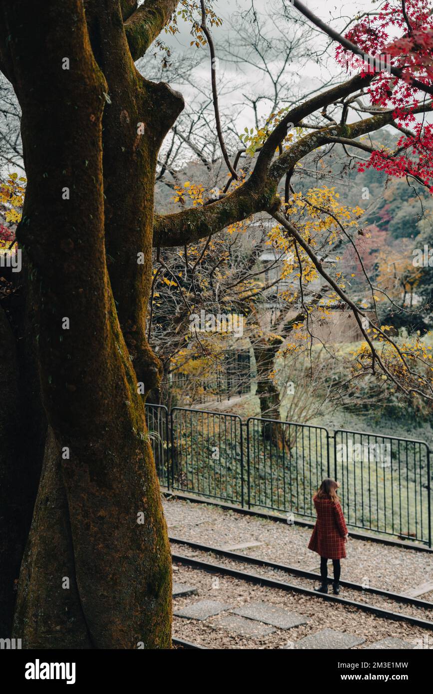 Kyoto, Japon - 26 novembre 2022 : chemin de fer de Keage Incline avec ...