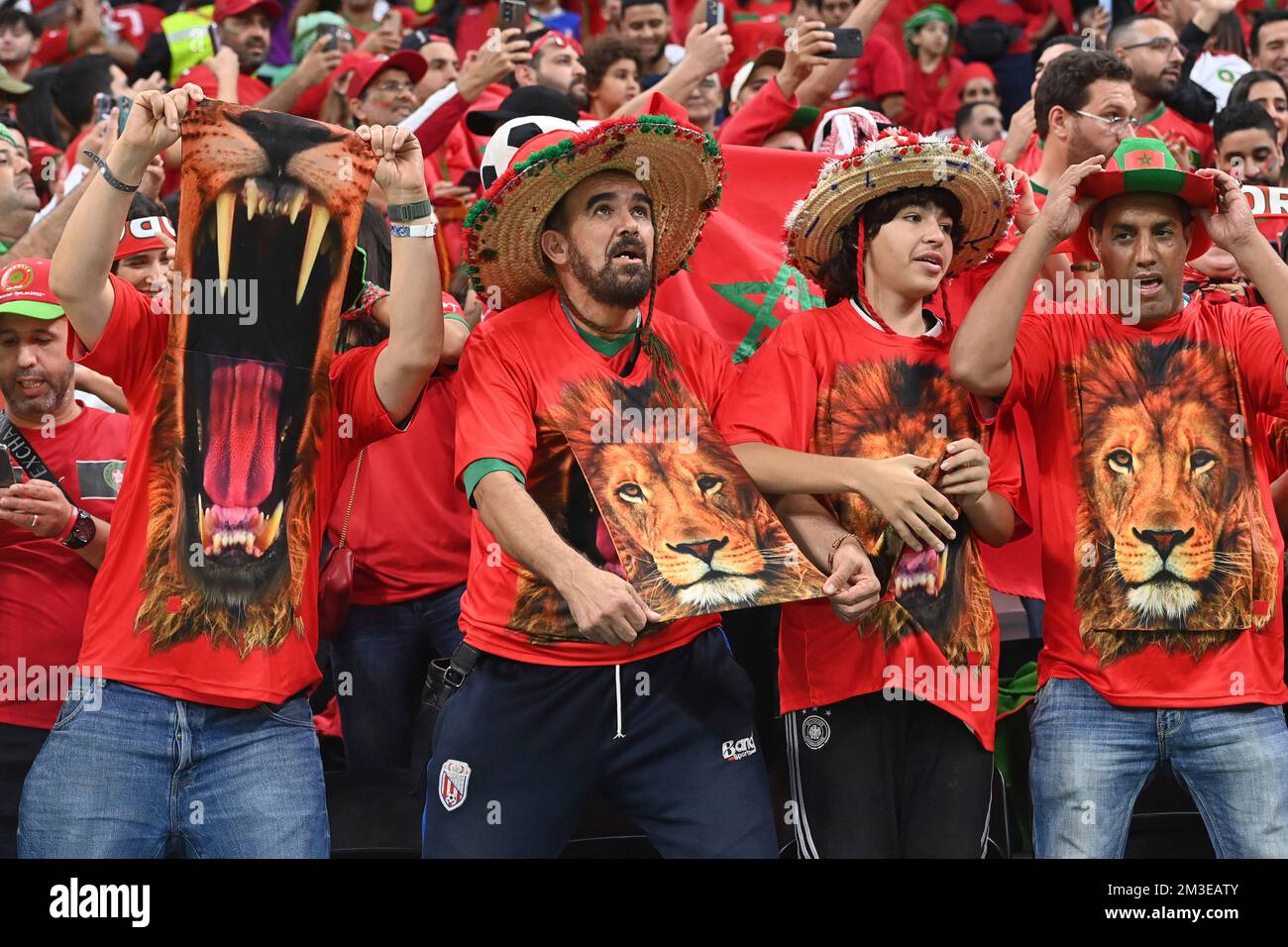 Supporters marocains, fans de football. Demi-finale, demi-finale 62 ...