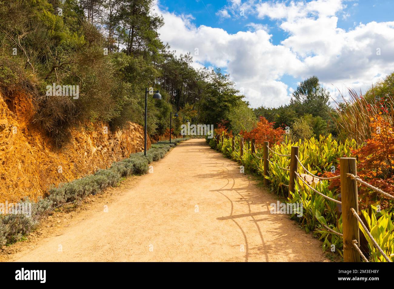 Piste de jogging ou de randonnée dans un parc. Forêt de la ville d ...