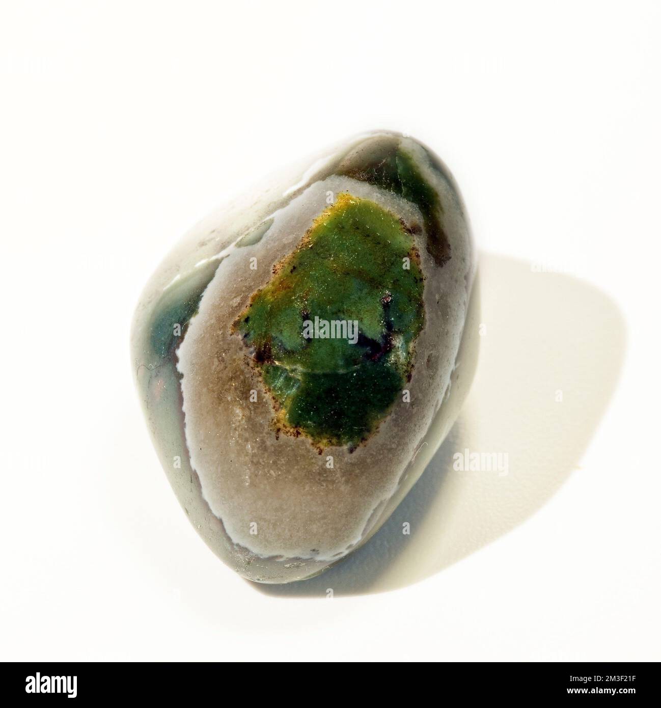 Sardoine verte Banque de photographies et d’images à haute résolution ...