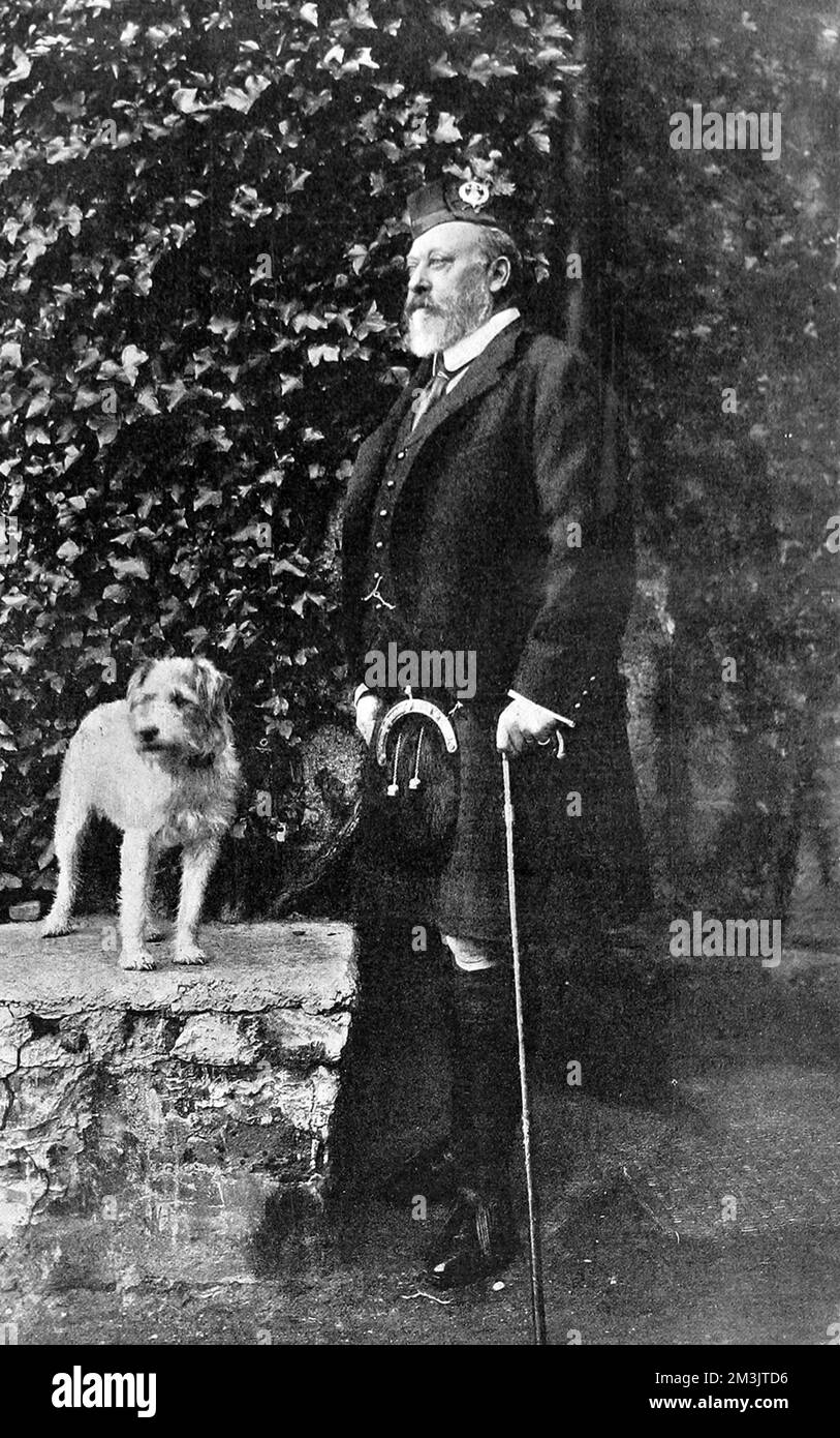 King edward vii dog Banque de photographies et d’images à haute ...