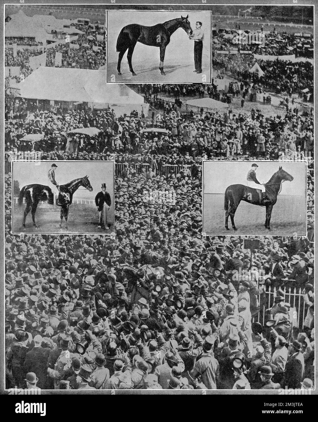 King edwards horse Banque de photographies et d’images à haute ...