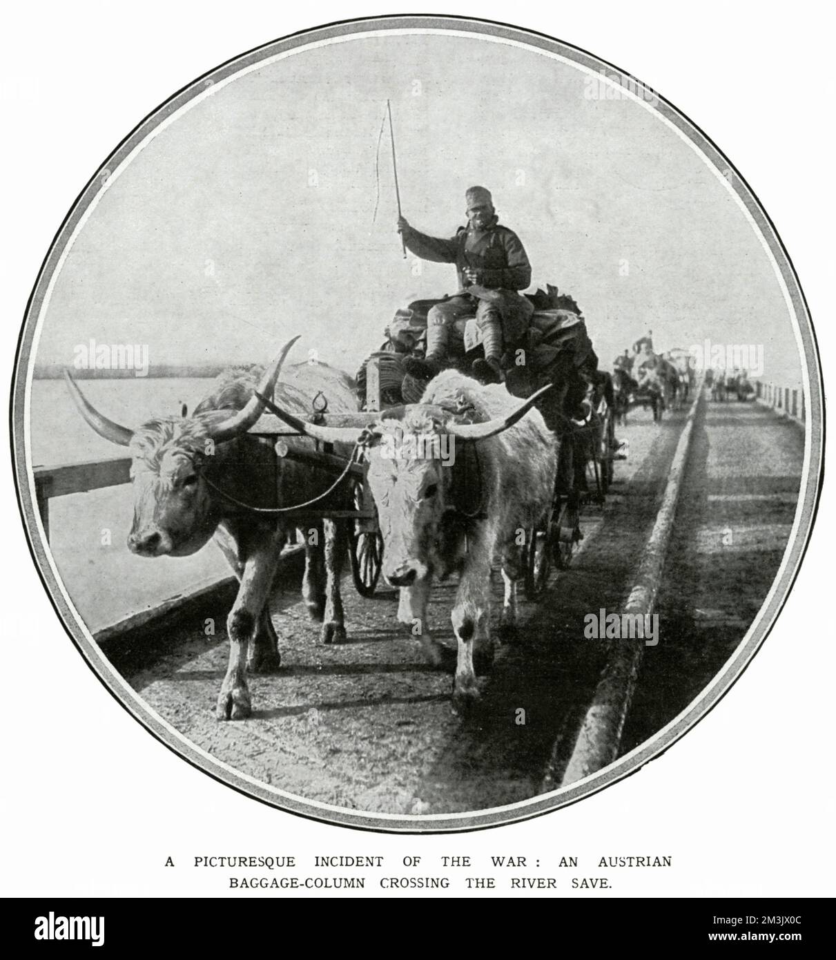 Bœufs et charrette Banque d'images détourées - Alamy