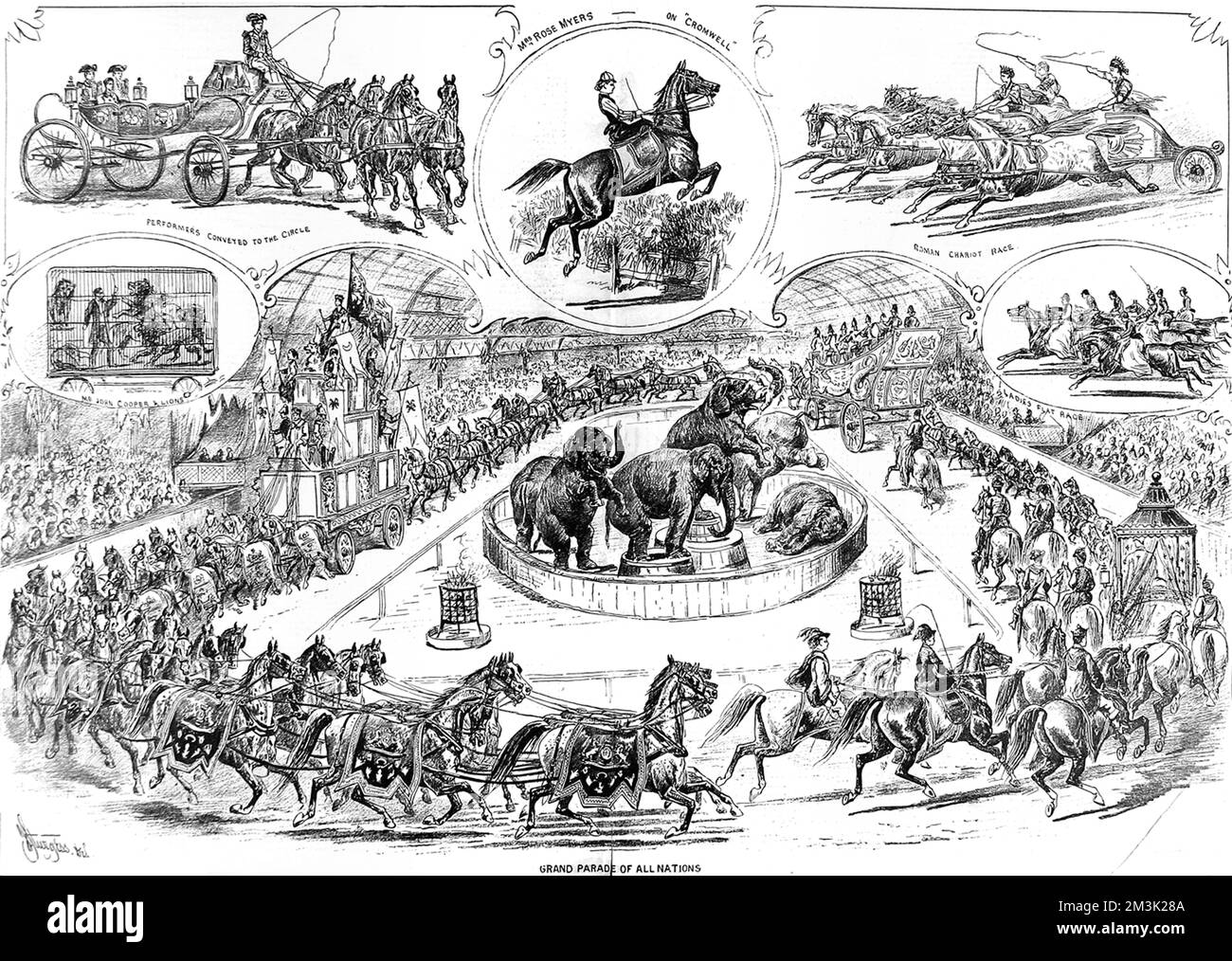 Elephants performing in circus Banque d'images noir et blanc - Alamy