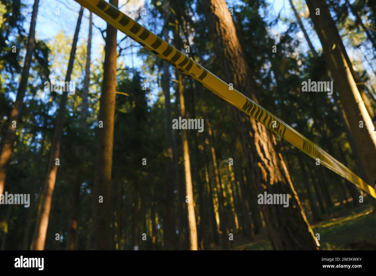 Forest crime scene Banque de photographies et d’images à haute ...