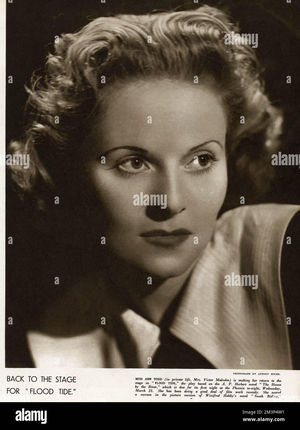 Dorothy ann todd Banque de photographies et d’images à haute résolution ...