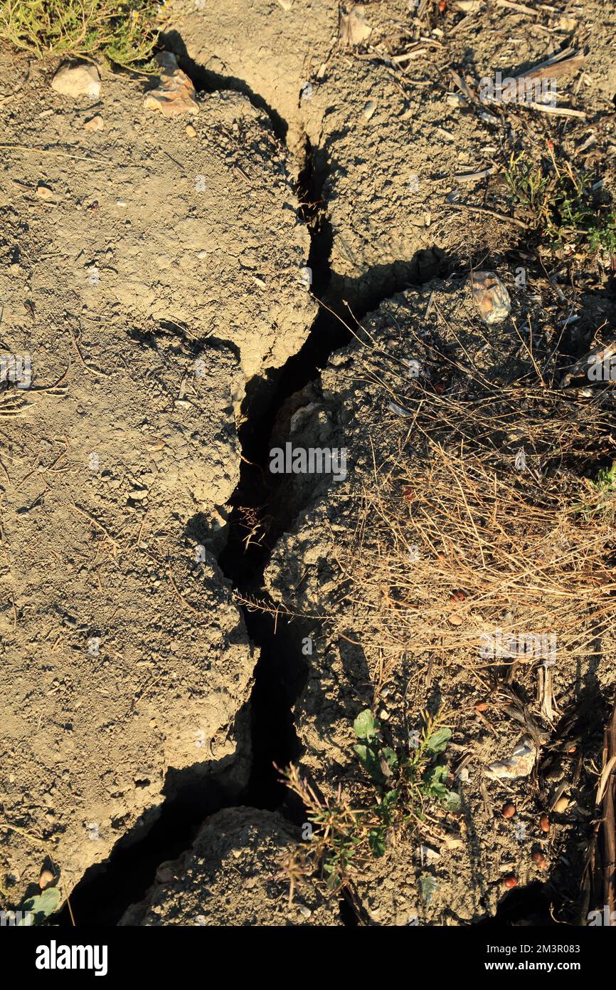 Fissures dans le sol argileux au champ dues à la sécheresse à Brabourne ...