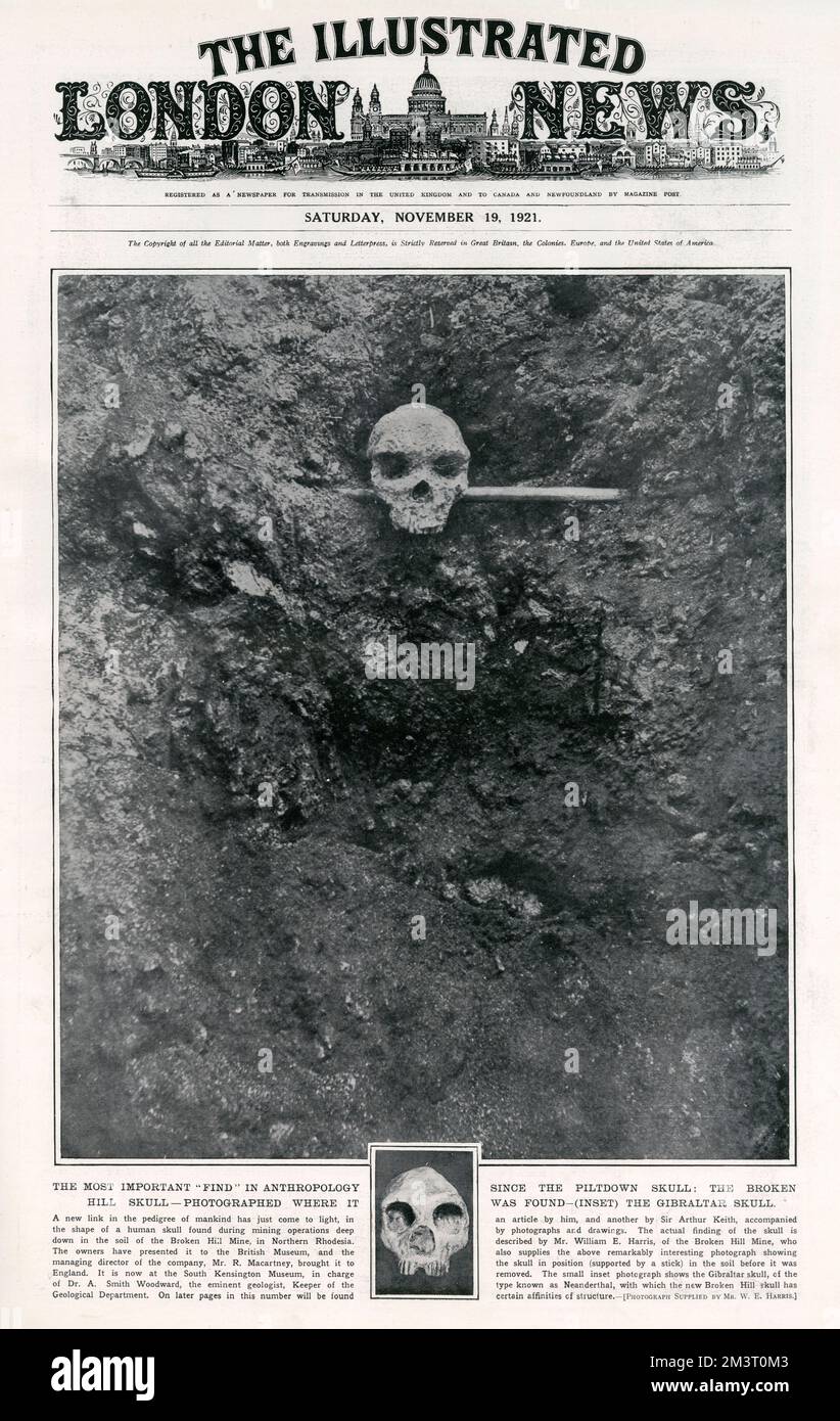 Broken hill skull homo rhodesiensis Banque de photographies et d’images ...