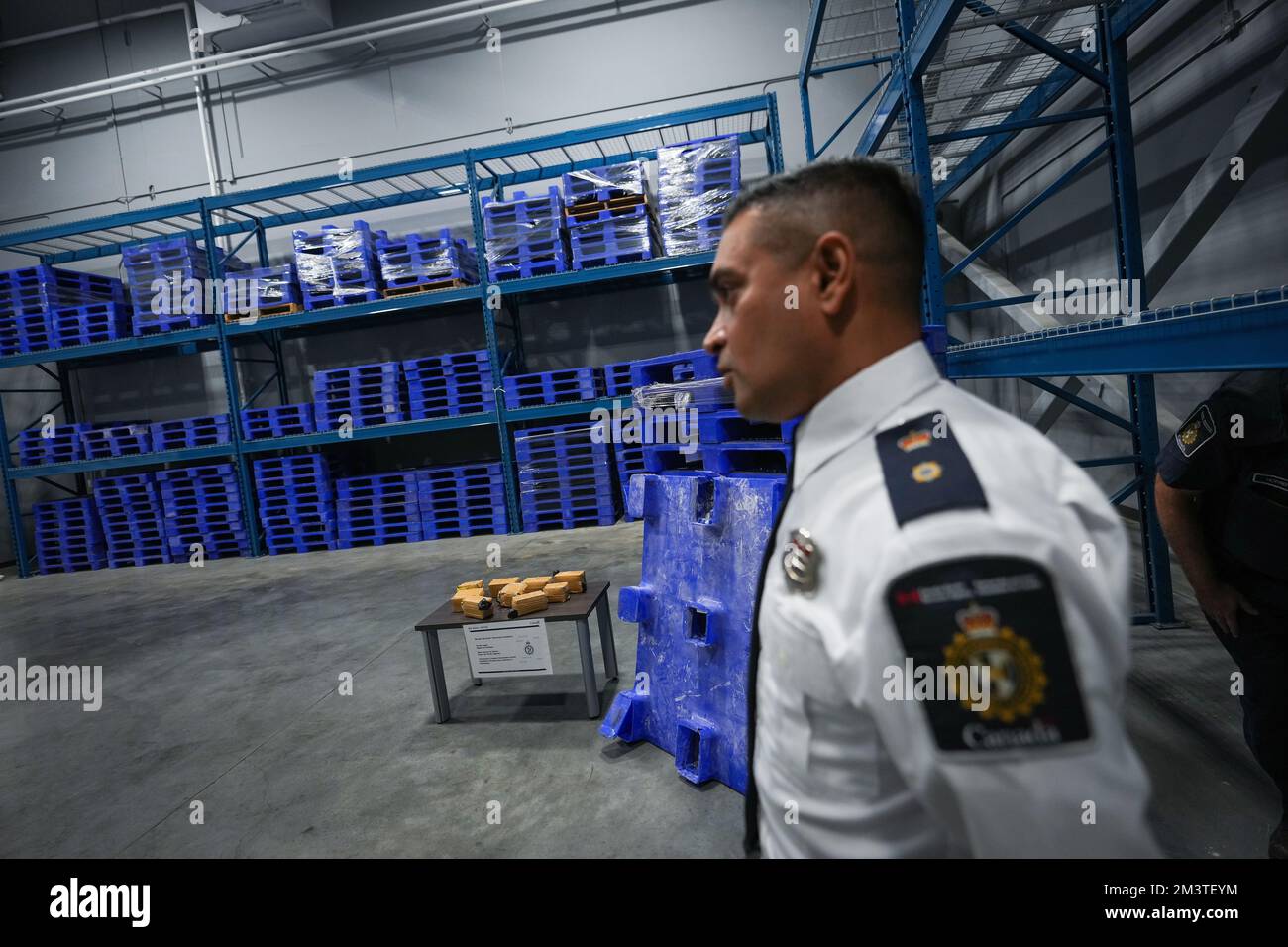 Agence des services frontaliers du Canada Directeur intérimaire du ...