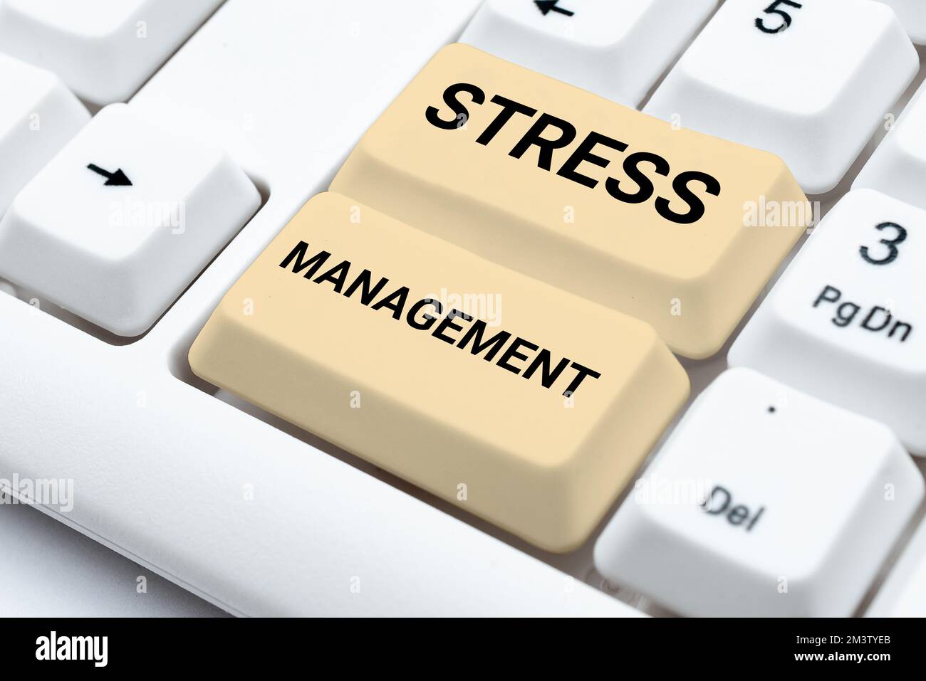 Légende conceptuelle gestion du stress. Mot pour apprendre des façons ...