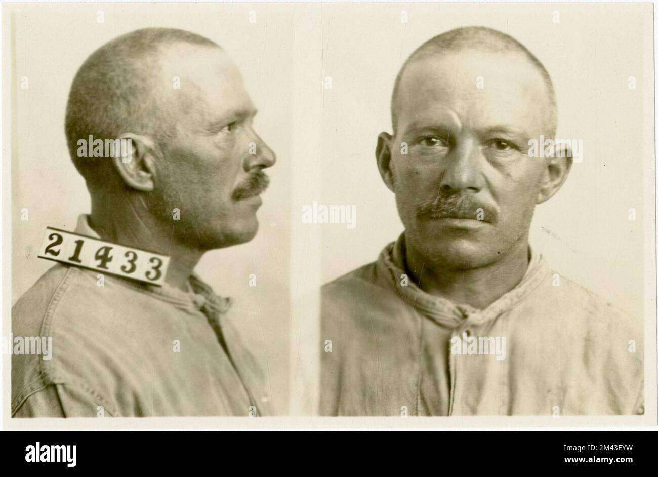 Cas galli Banque de photographies et d’images à haute résolution - Alamy