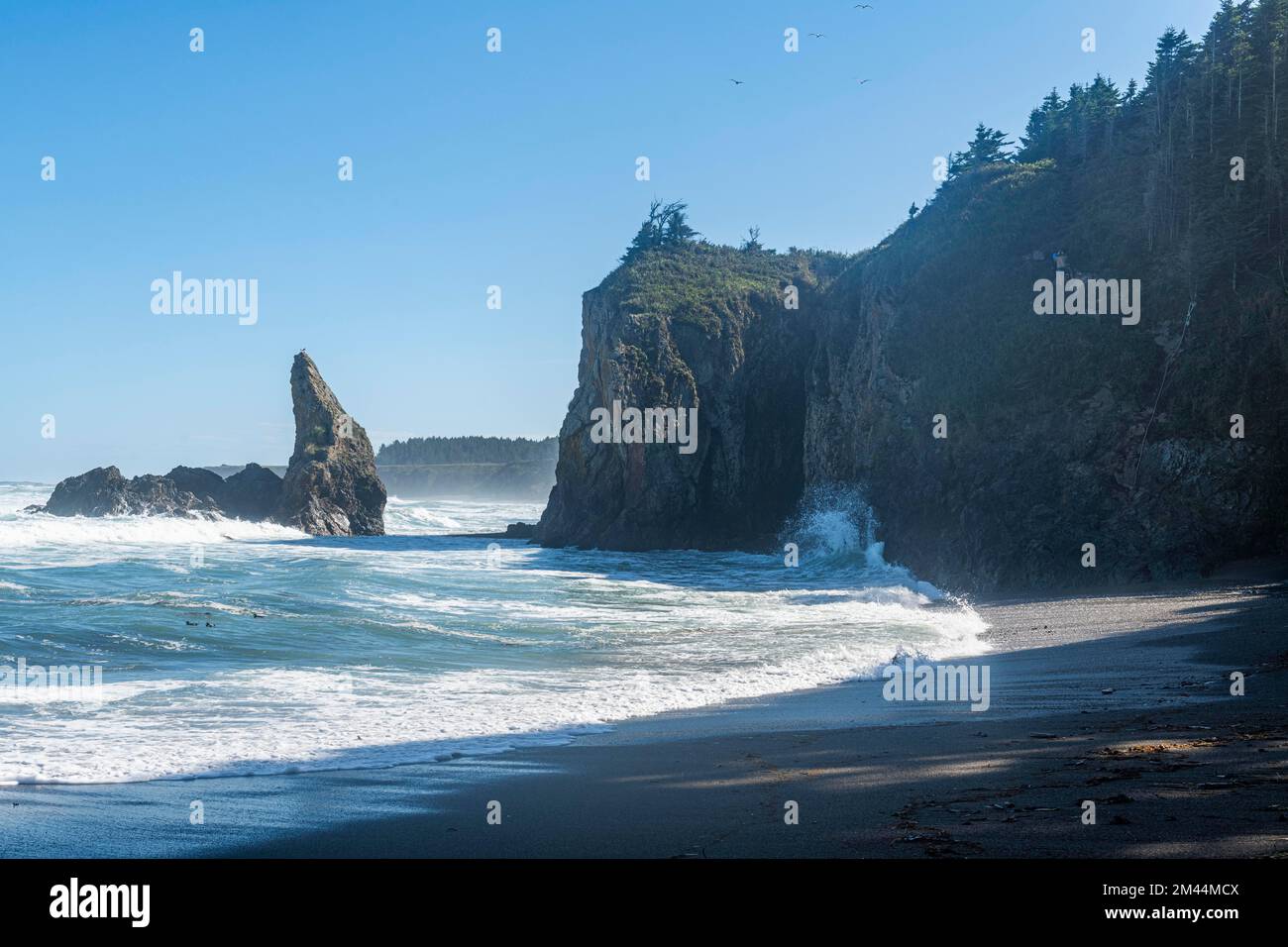 Russian giant Banque de photographies et d’images à haute résolution ...