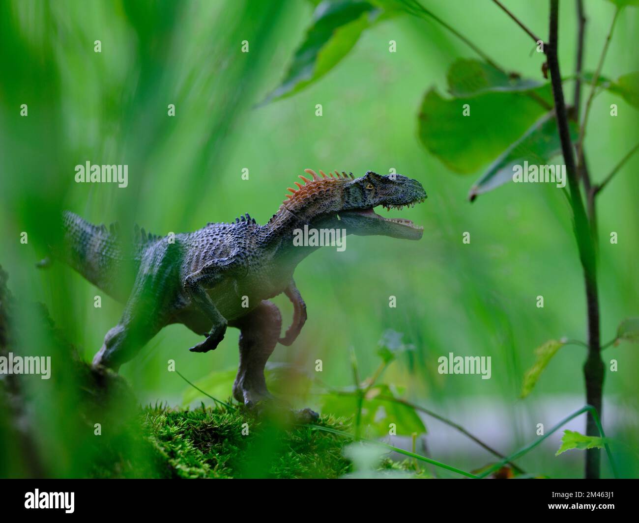 Dinosaur figure Banque de photographies et d’images à haute résolution - Alamy