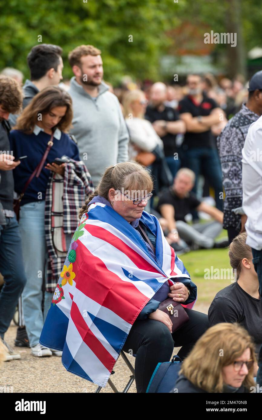 Une grande foule se mêle à Hyde Park en regardant la diffusion en ...