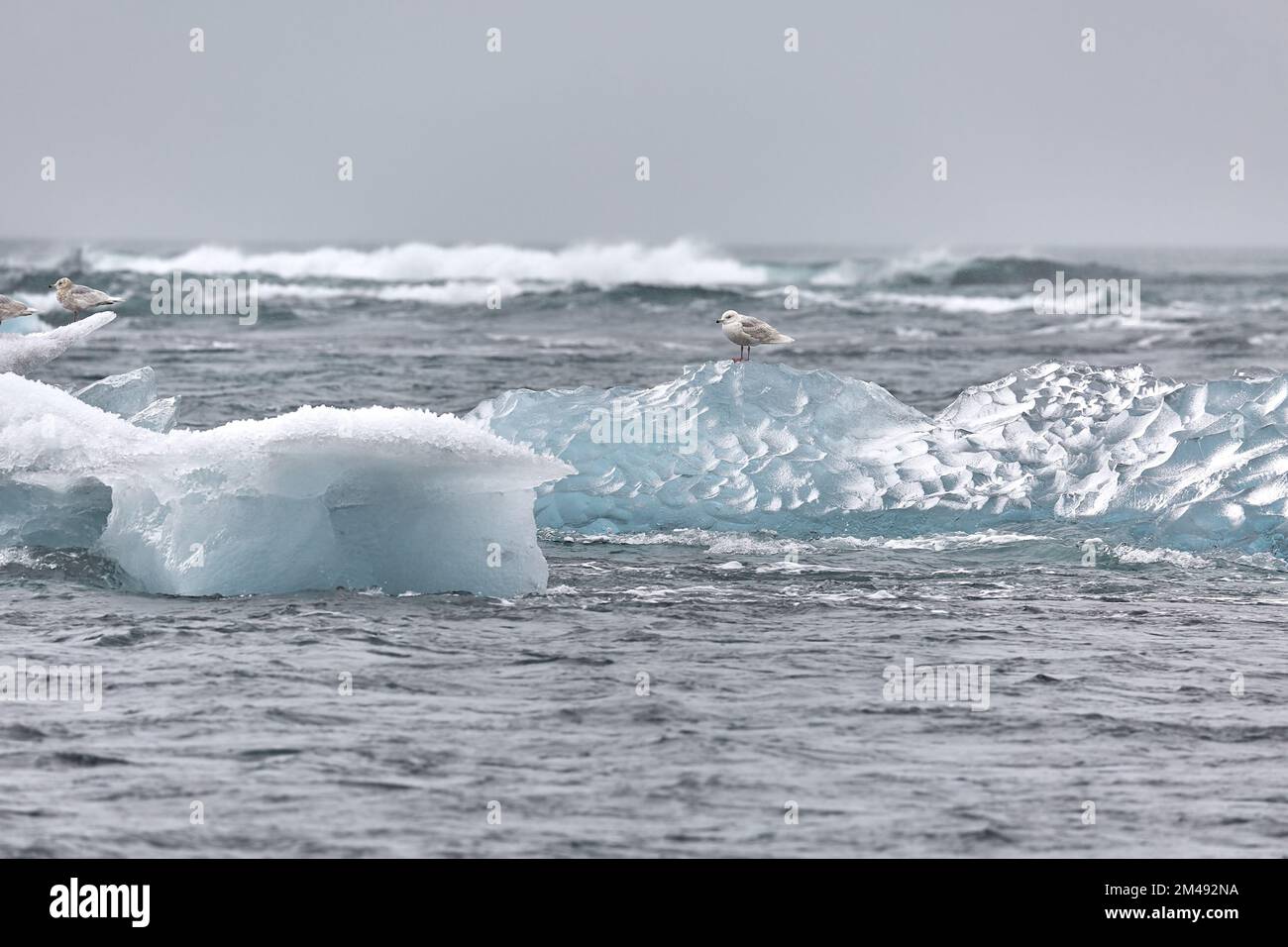 Ruisseler dans la mer Banque de photographies et d’images à haute ...