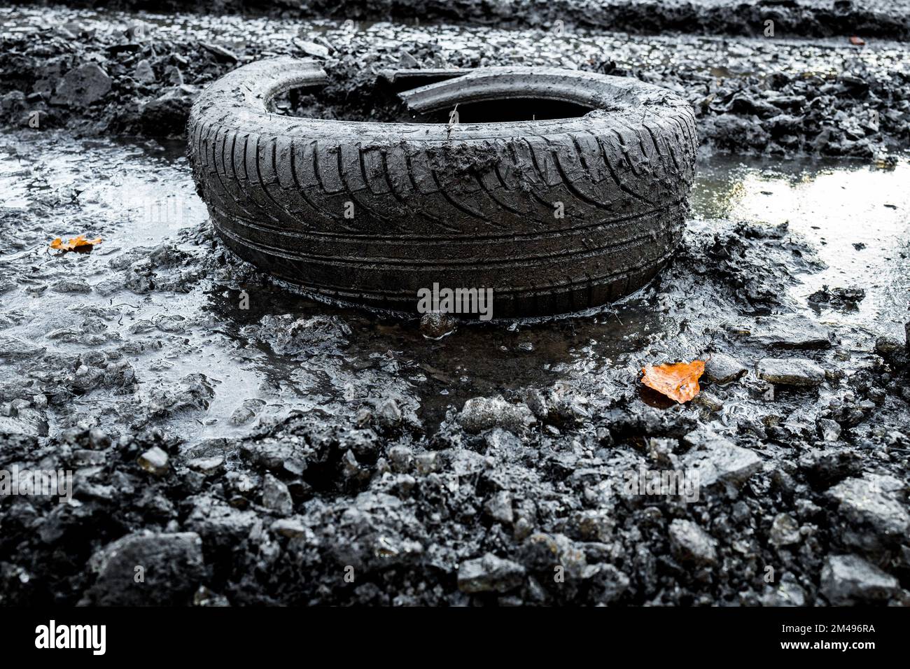 Pneu de véhicule coupé et inutilisable déversé sur une piste forestière ...