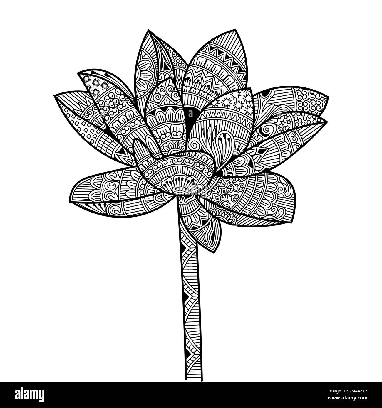 Fleurs zentangle art croquis faciles avec motif décoratif de contour de ...