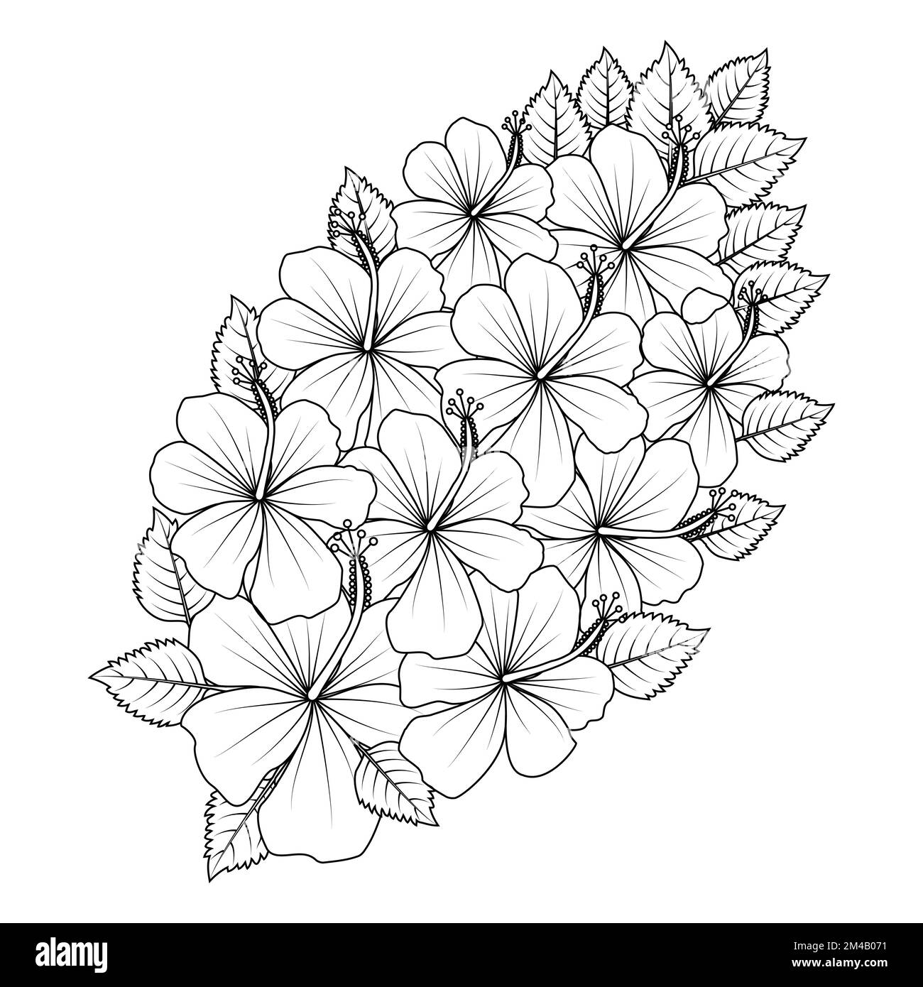 Rose fleurs dessin noir et blanc Banque de photographies et d’images à ...
