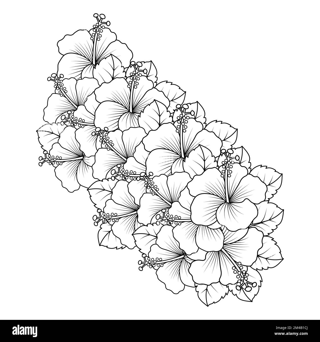 Common mallow Banque d'images vectorielles - Alamy