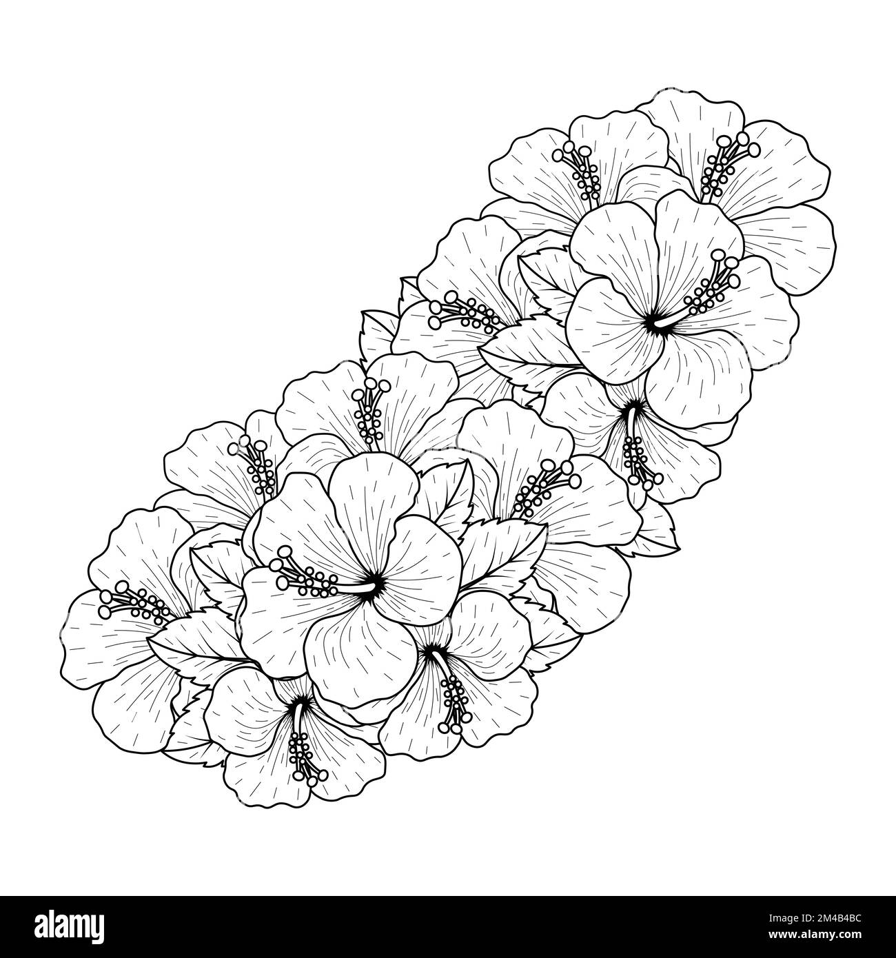 fleurs d'hibiscus communes contour fleurs pétale en fleur ou fleurs de ...