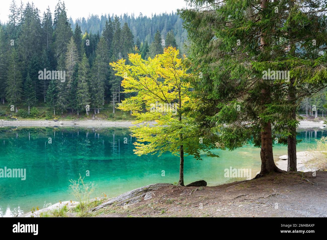 Cauma see Banque de photographies et d’images à haute résolution - Alamy