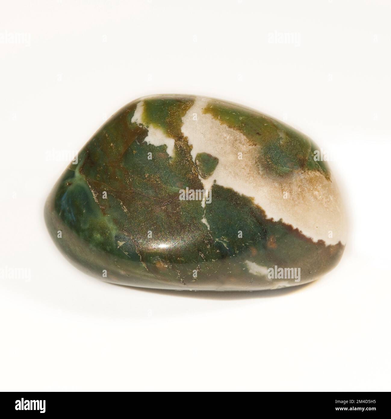 Sardoine verte Banque de photographies et d’images à haute résolution ...