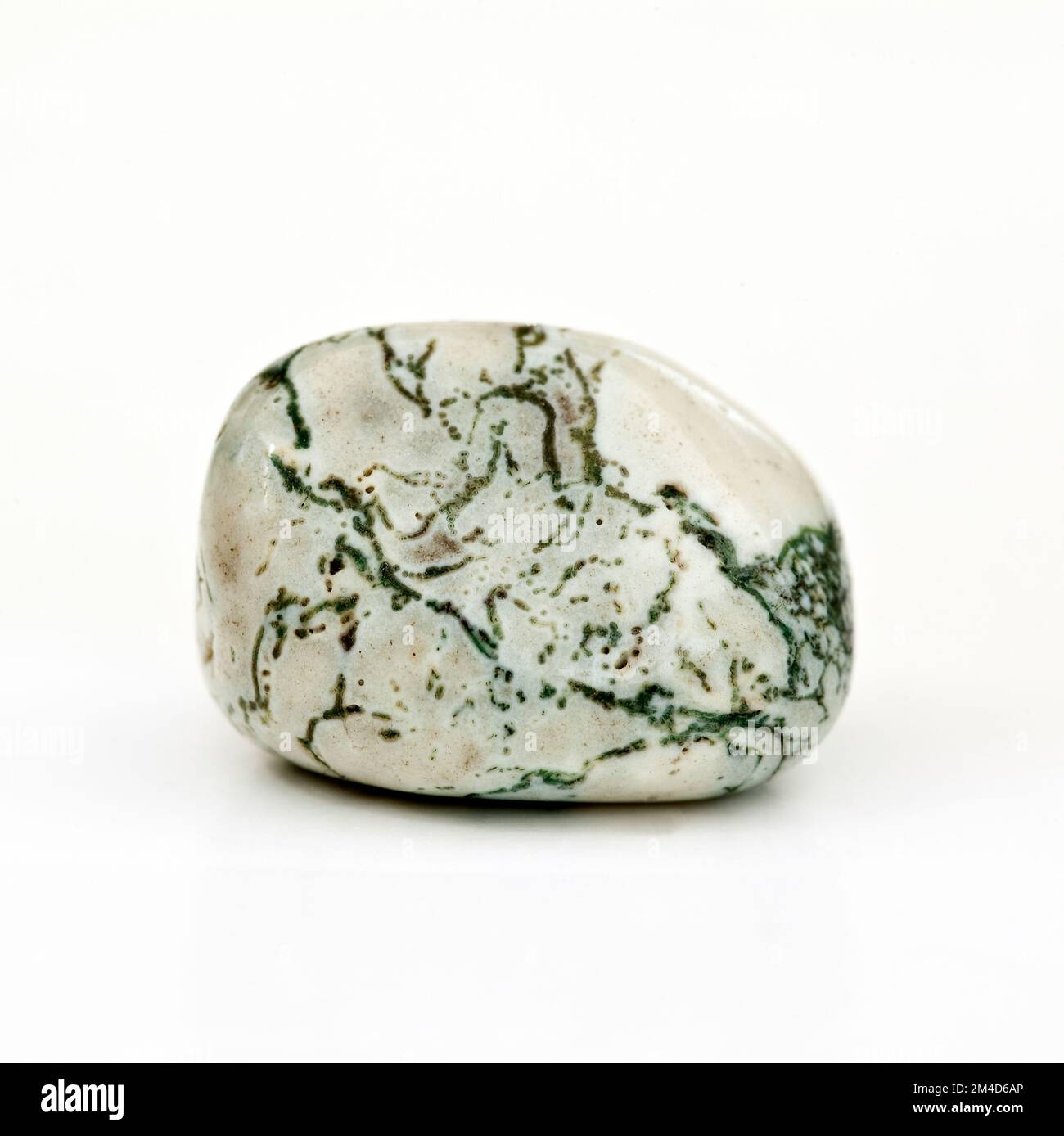 Agate d'arbre Banque de photographies et d’images à haute résolution ...