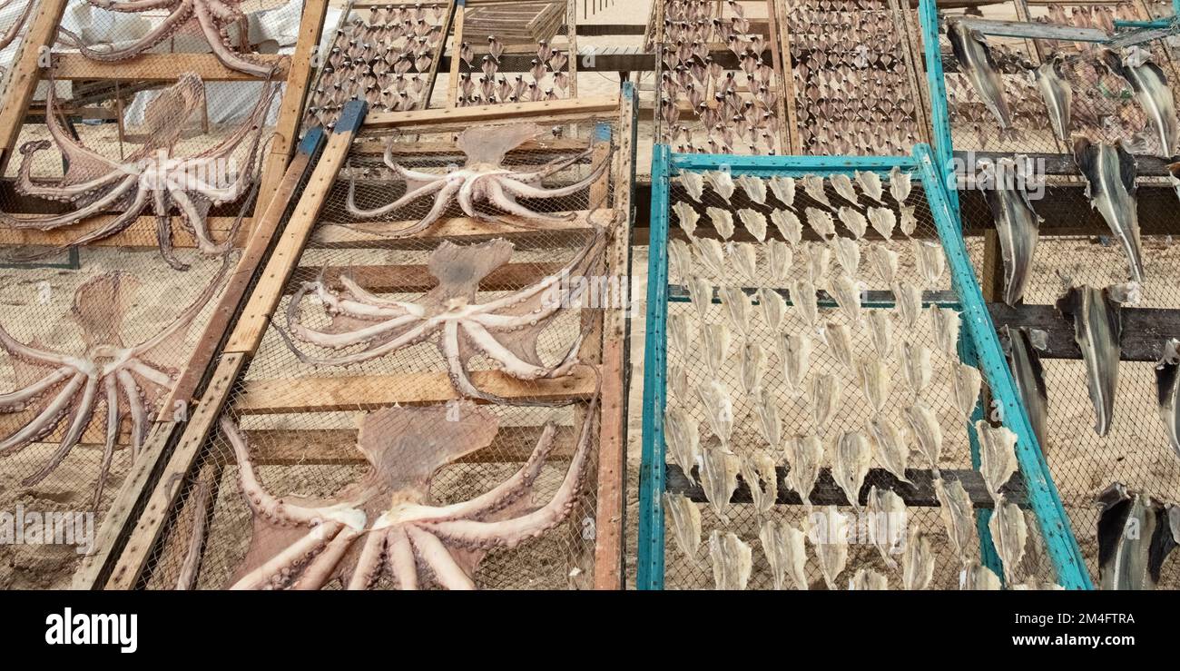 Poisson séché en plein air. Séchant traditionnel de fruits de mer dans ...