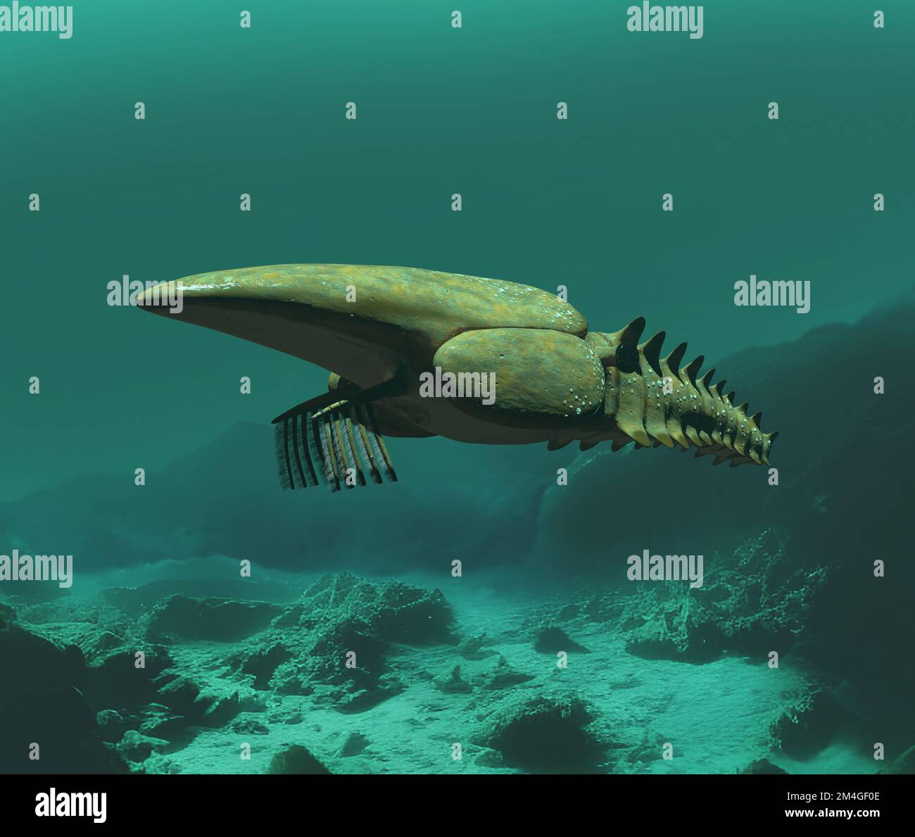 Fossile ordovicien Banque de photographies et d’images à haute ...