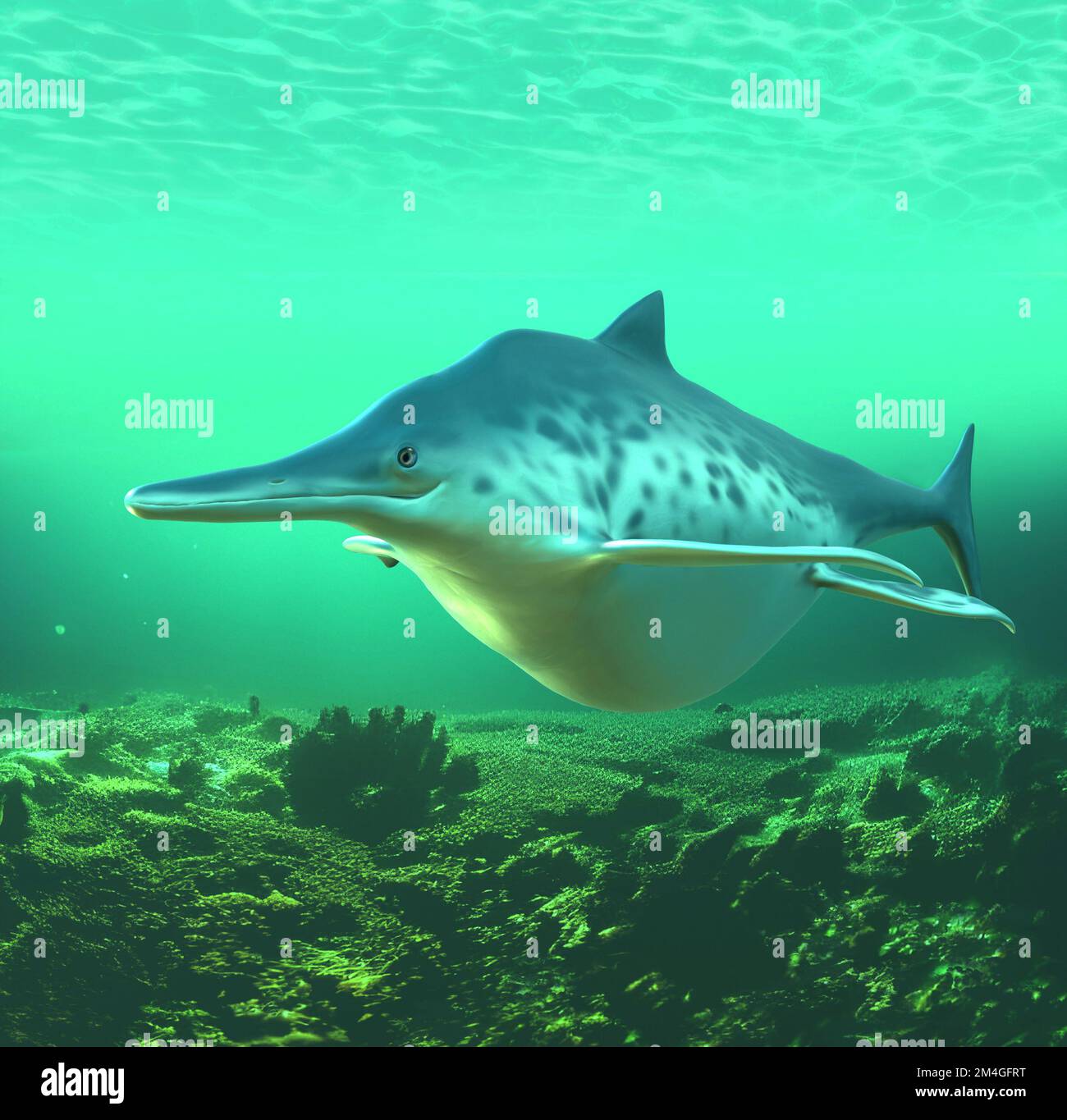 Trias tardif Banque de photographies et d’images à haute résolution - Alamy