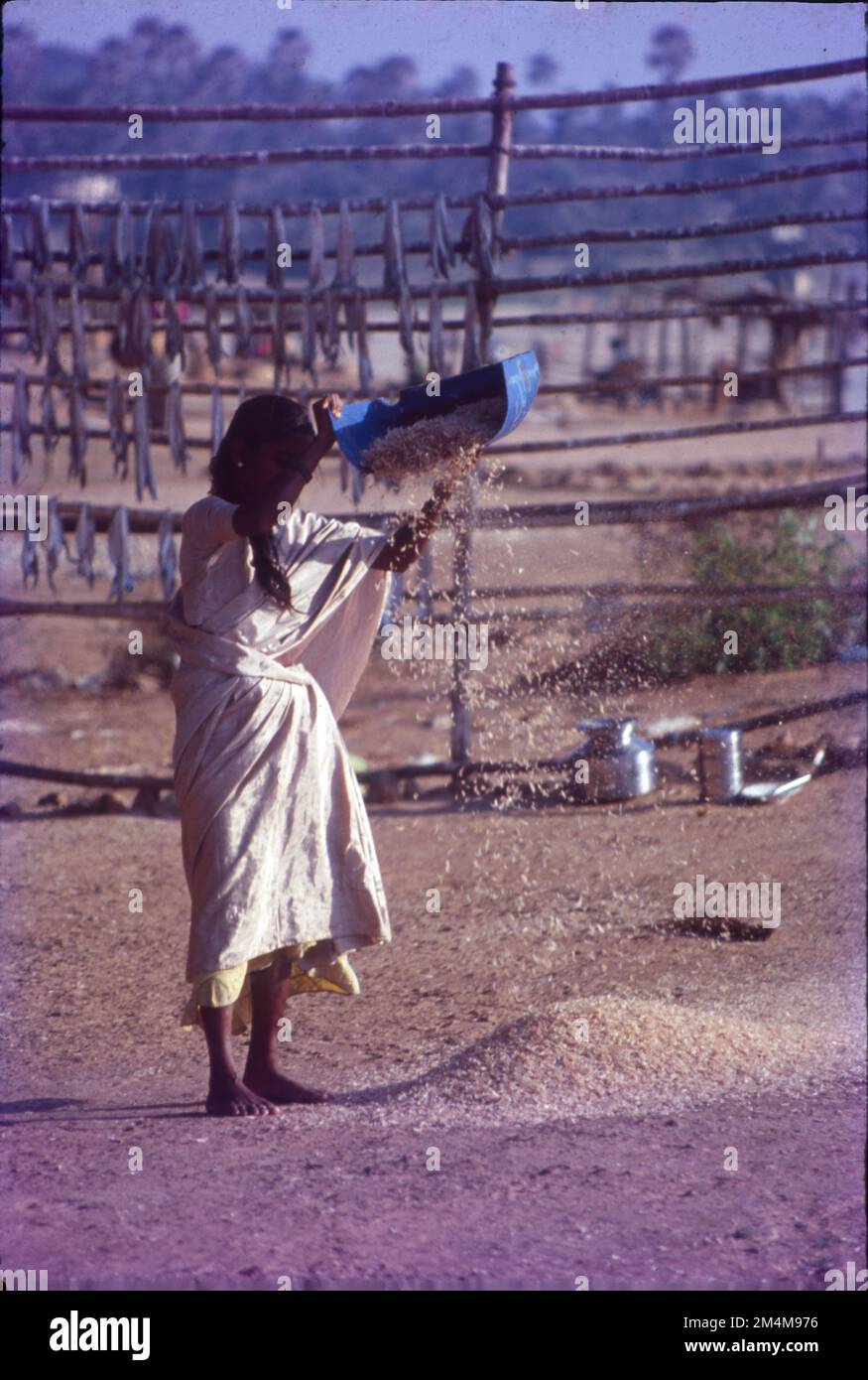 Le Koli, une communauté de pêcheurs traditionnelle du Maharashtra. Koli ...