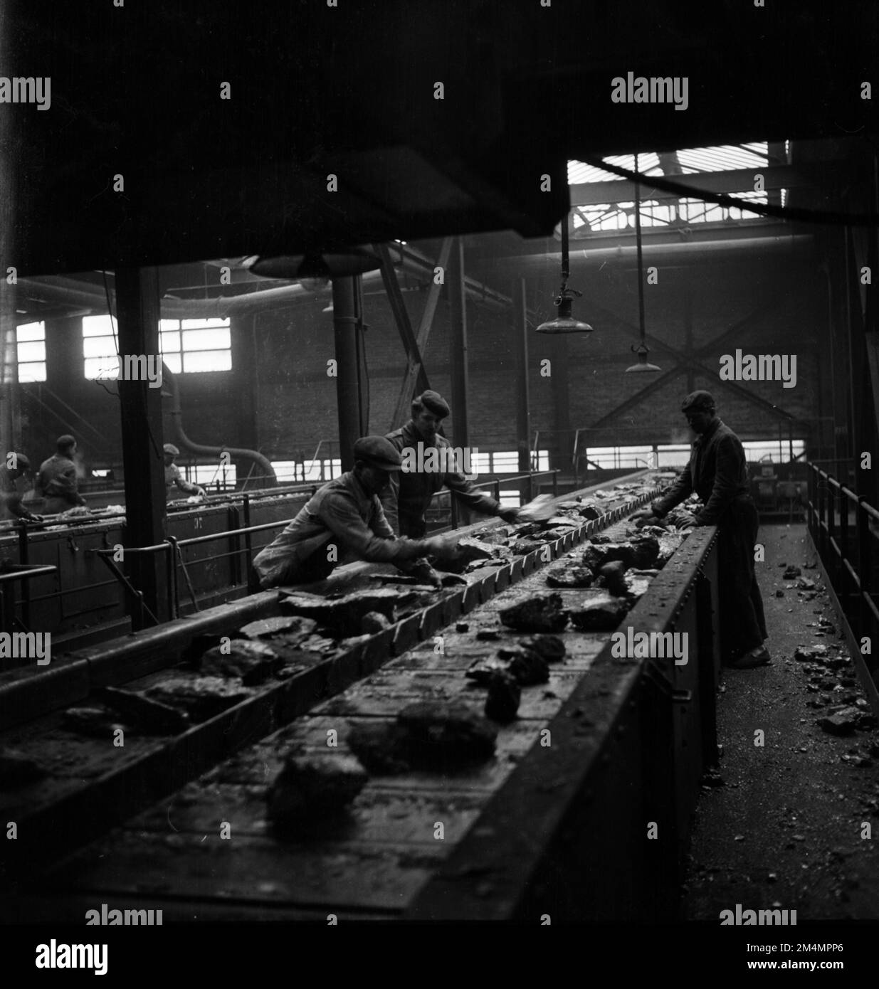 Photos de Lessing sur charbon - surface. Photographies des programmes ... Photos de Lessing sur charbon - surface. Photographies des programmes ...