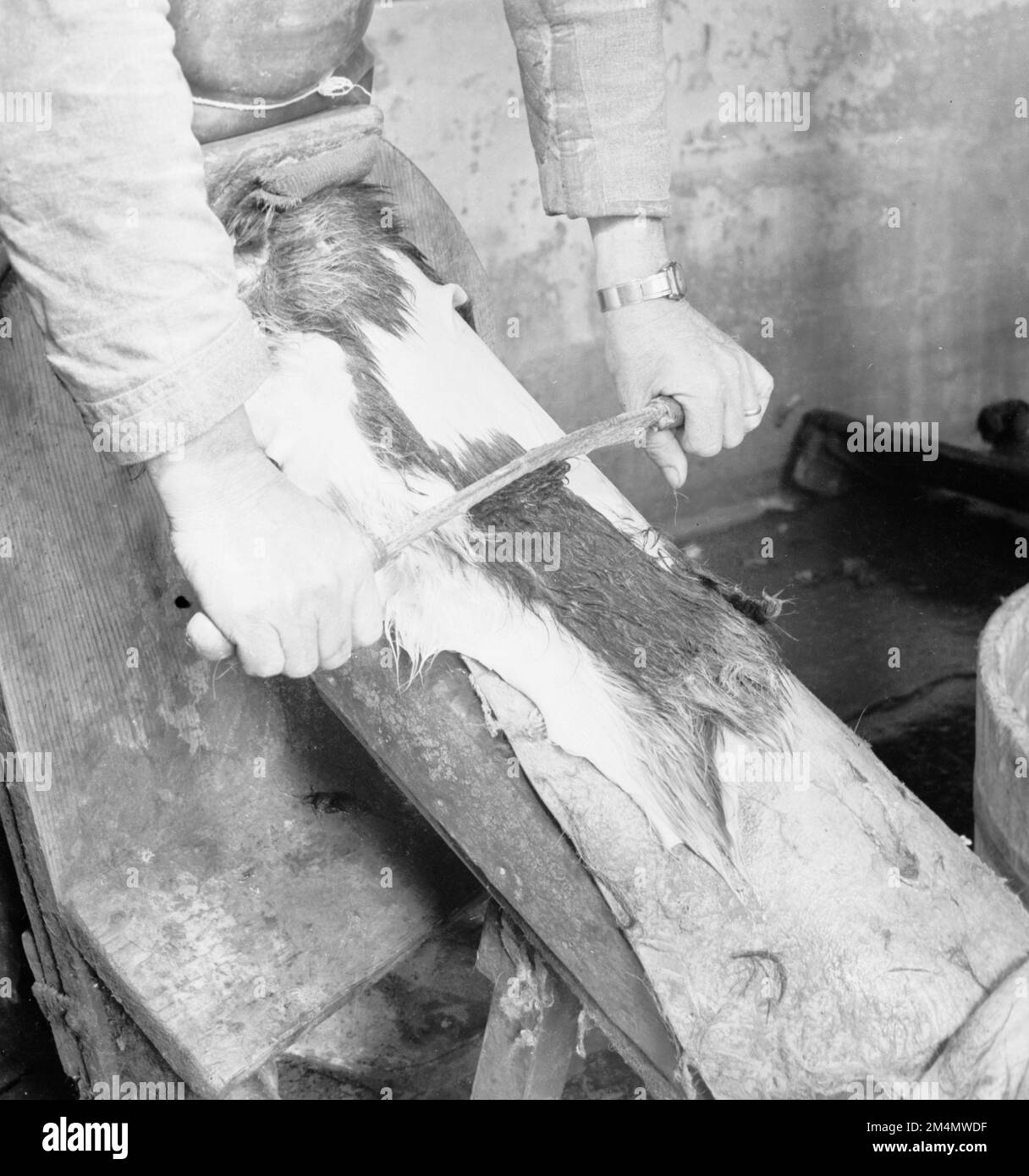 Assistance technique - série « mains au travail ». Photographies des ...