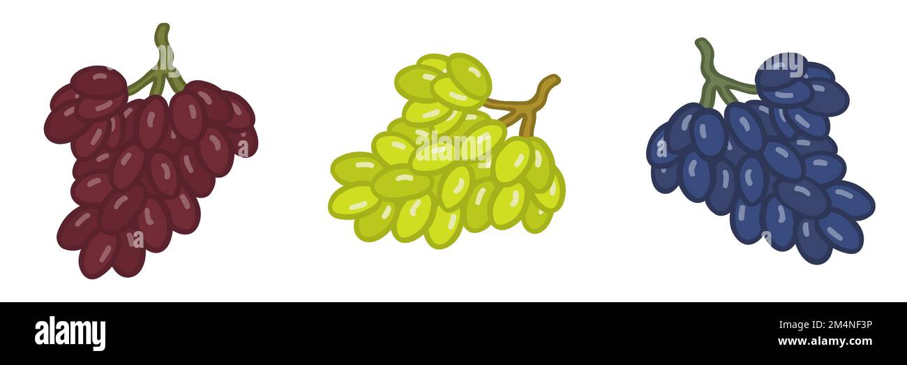 Vigne et grappe de raisin sur la table de jardin Banque d'images ...