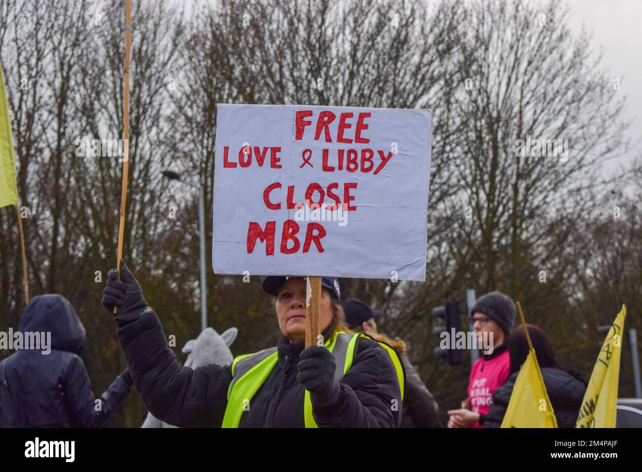 Huntingdon, Royaume-Uni. 22nd décembre 2022. Un activiste tient un ...