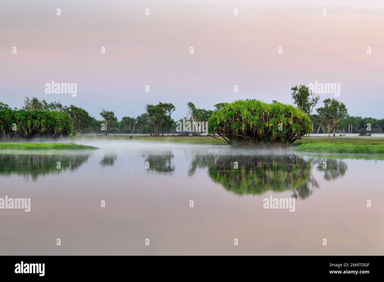 Australien kakadu parc national du nord Banque de photographies et d’images à haute résolution ...
