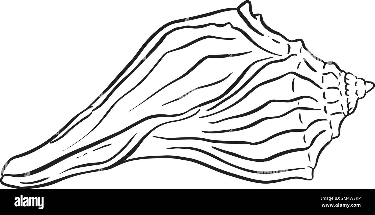 Conch Sea Snach Shell Outline style dessin de dessin animé logo en ...