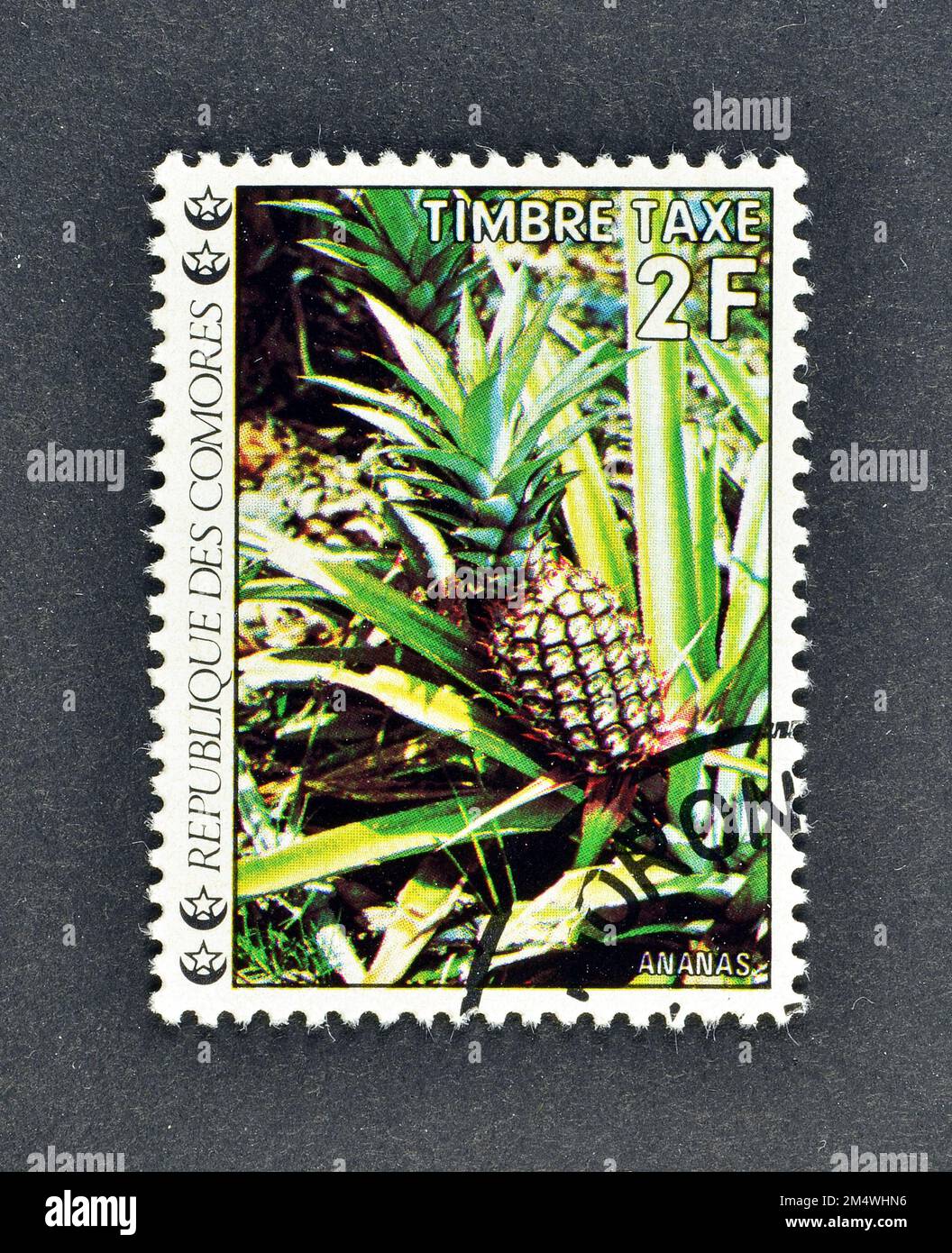 Timbre-poste annulé imprimé par les Comores, qui montre Pineapple, vers ...