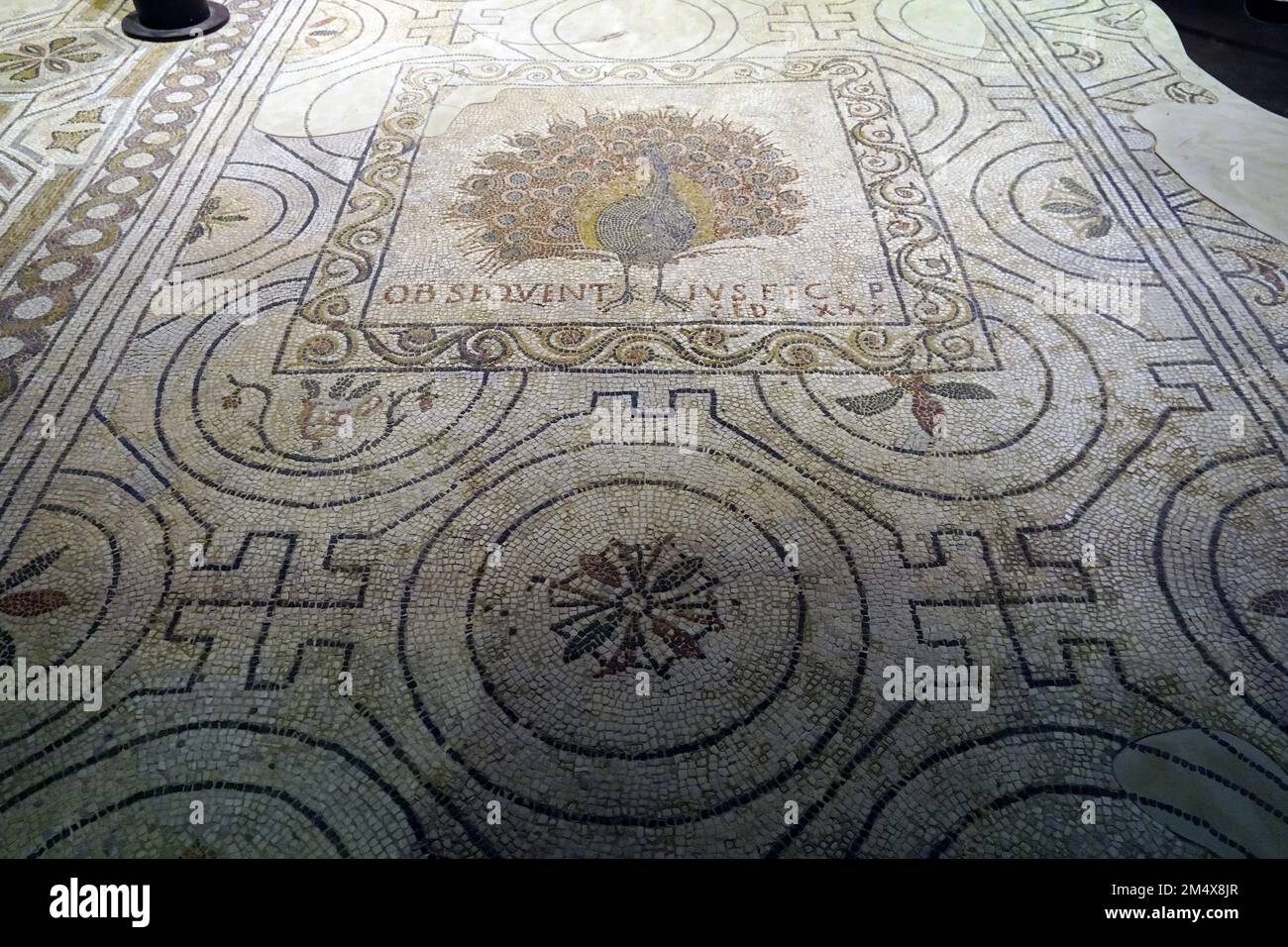 Sol mosaïques, Cattedrale di Santa Maria del Fiore, Cathédrale de ...