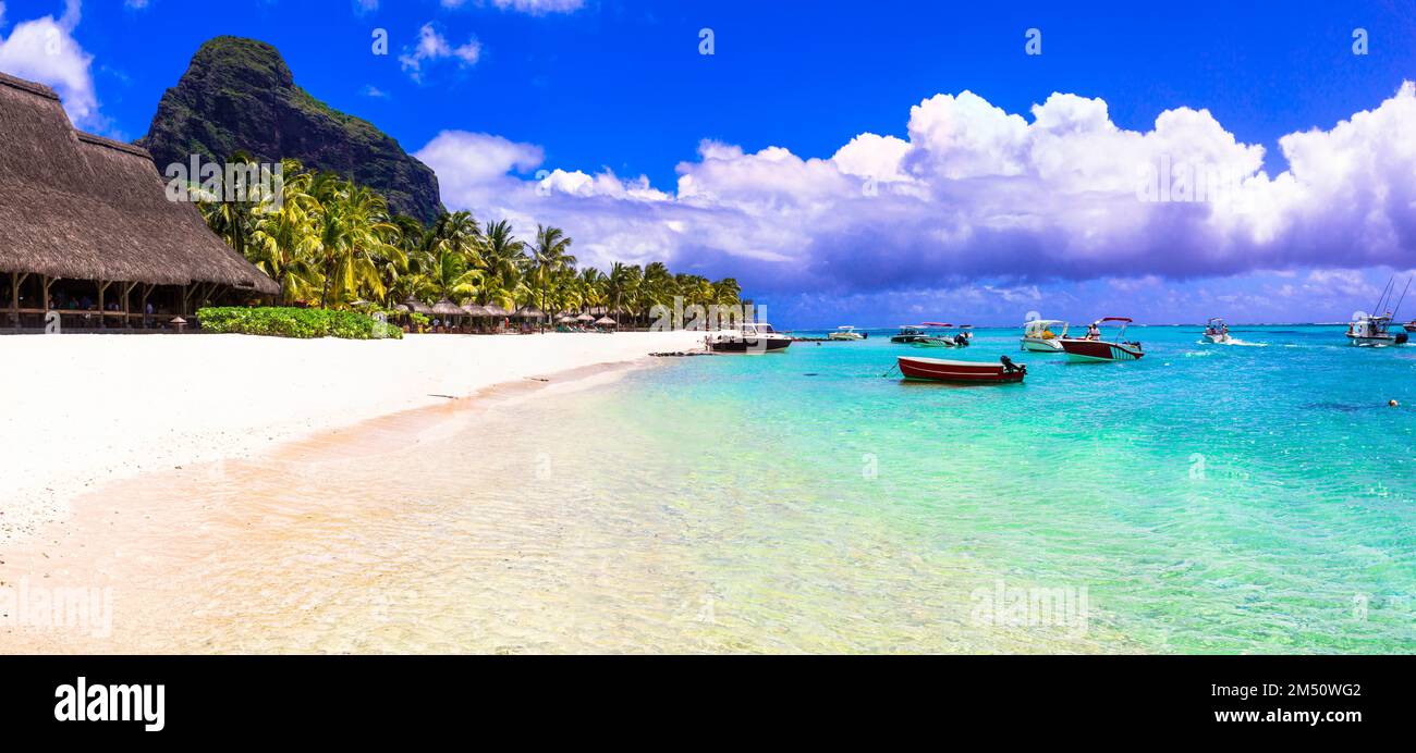 Île de rêve. paradis tropical. Les meilleures plages de l'île Maurice ...