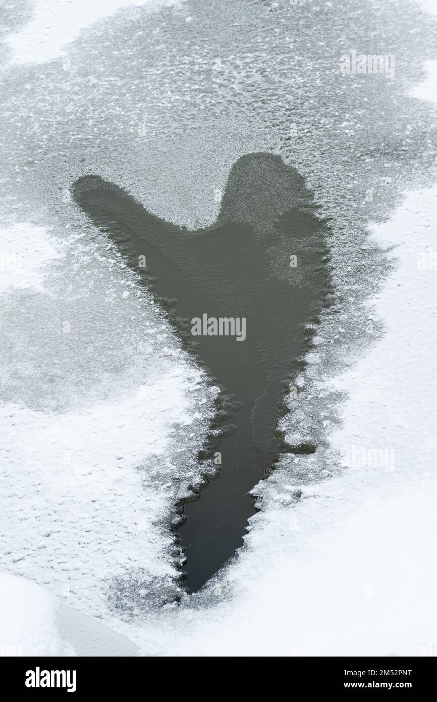 Falling snow on transparent background Banque de photographies et d ...