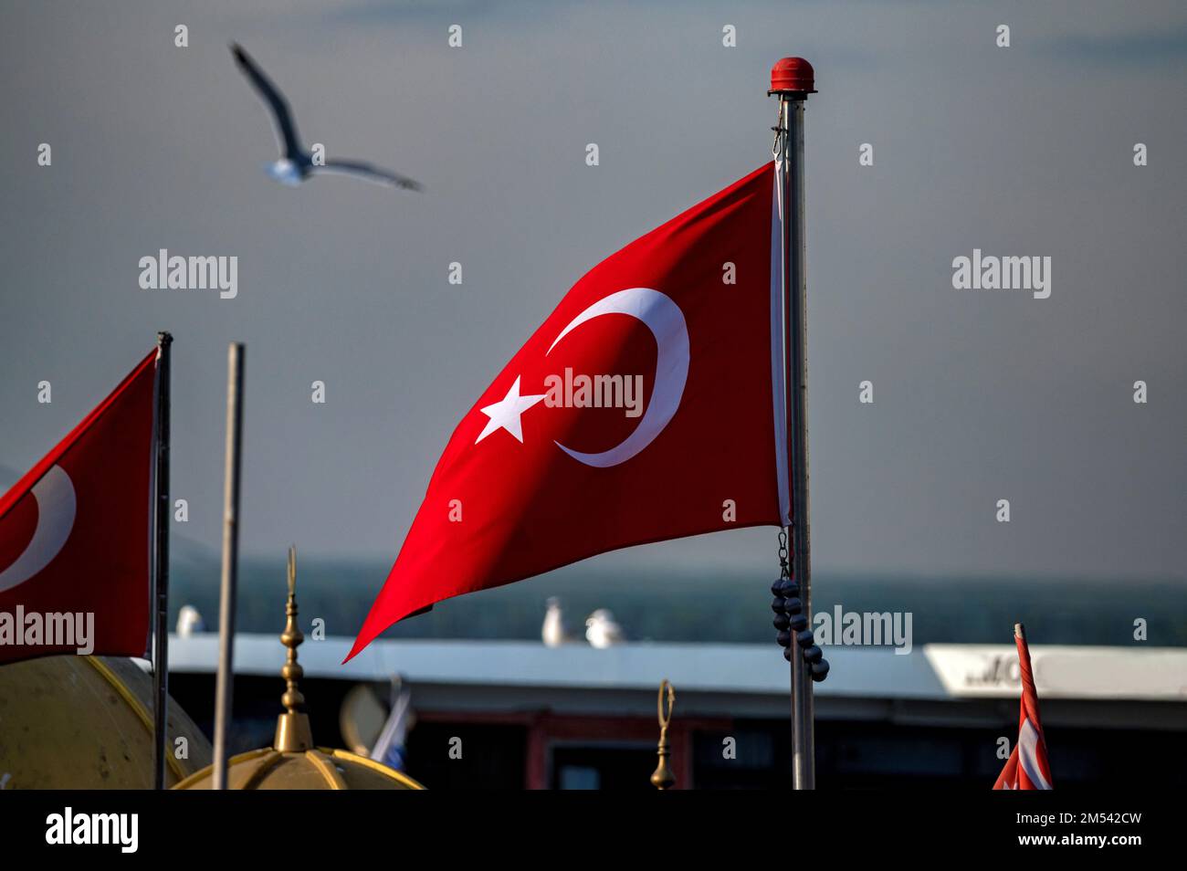 Deux drapeaux de Turquie, officiellement le drapeau turc ou Turk ...